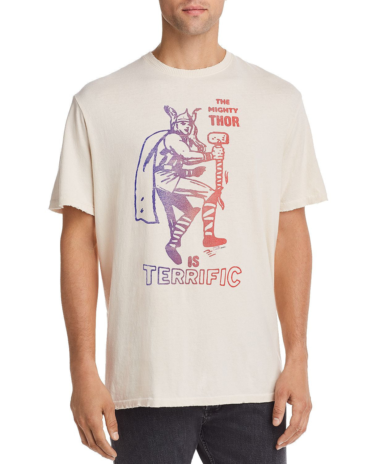 Junk Food Thor Graphic Tee Birch – CheapUndies